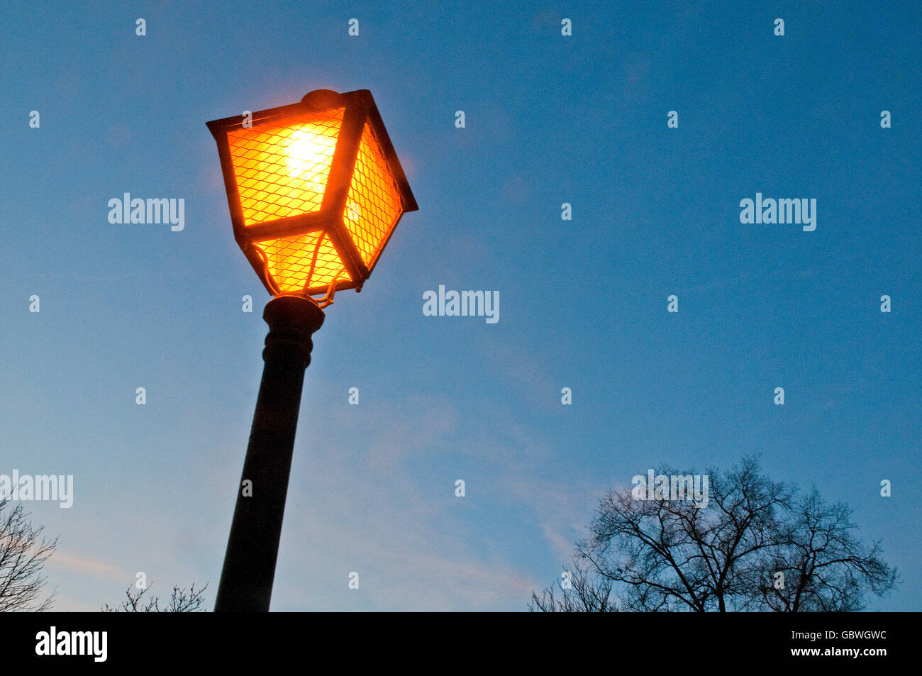 Lit up street light at dawn. The Retiro park, Madrid, Spain Stock Photo ...