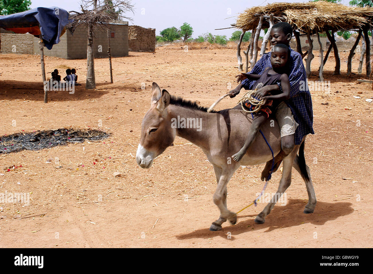 Two children walking in the village of Kokemnoure donkey in a good mood ...
