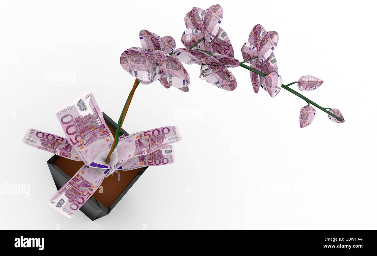flower made out of euro banknotes, 3d illustration Stock Photo - Alamy