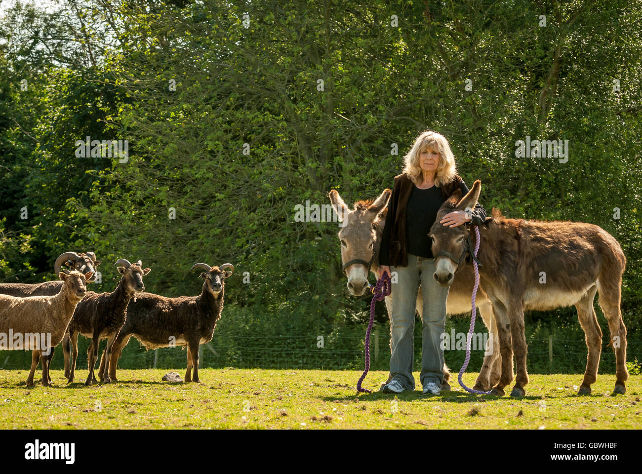 Writer Carla Lane at her animal sanctuary and home, Broadhurst Manor ...