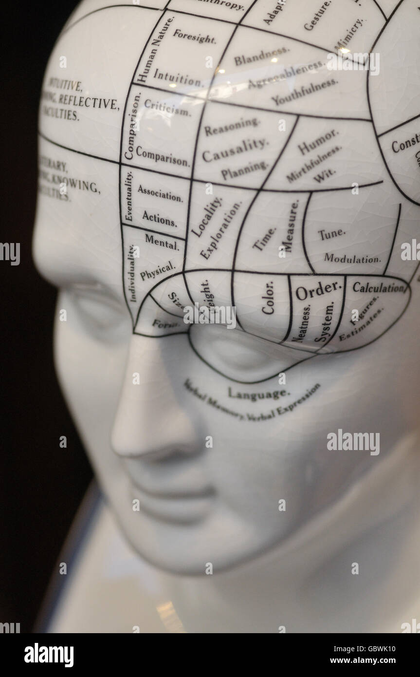 Head sculpture with brain activities Stock Photo - Alamy