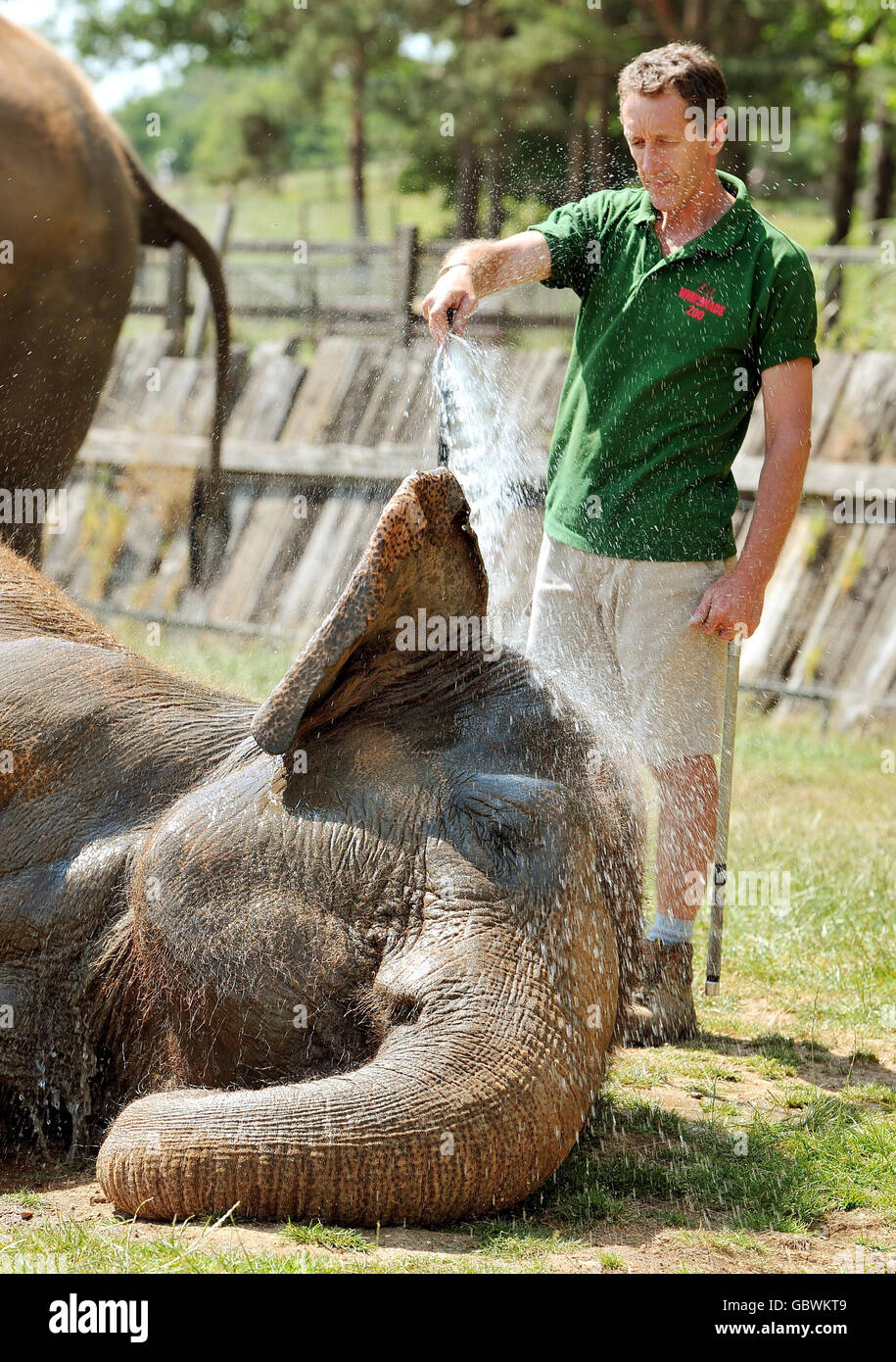 Gary hampson hi-res stock photography and images - Alamy