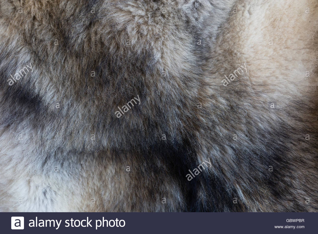 Animal Fur Pattern Stock Photos & Animal Fur Pattern Stock Images - Alamy