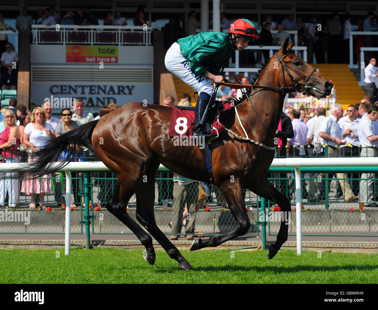 Horse Racing - Haydock Park Stock Photo - Alamy