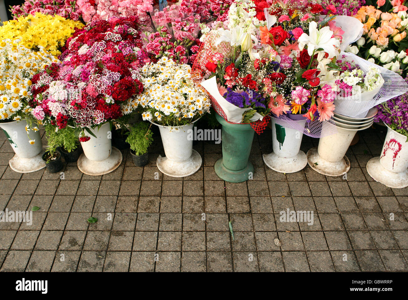 Istanbul flowers hi-res stock photography and images - Alamy