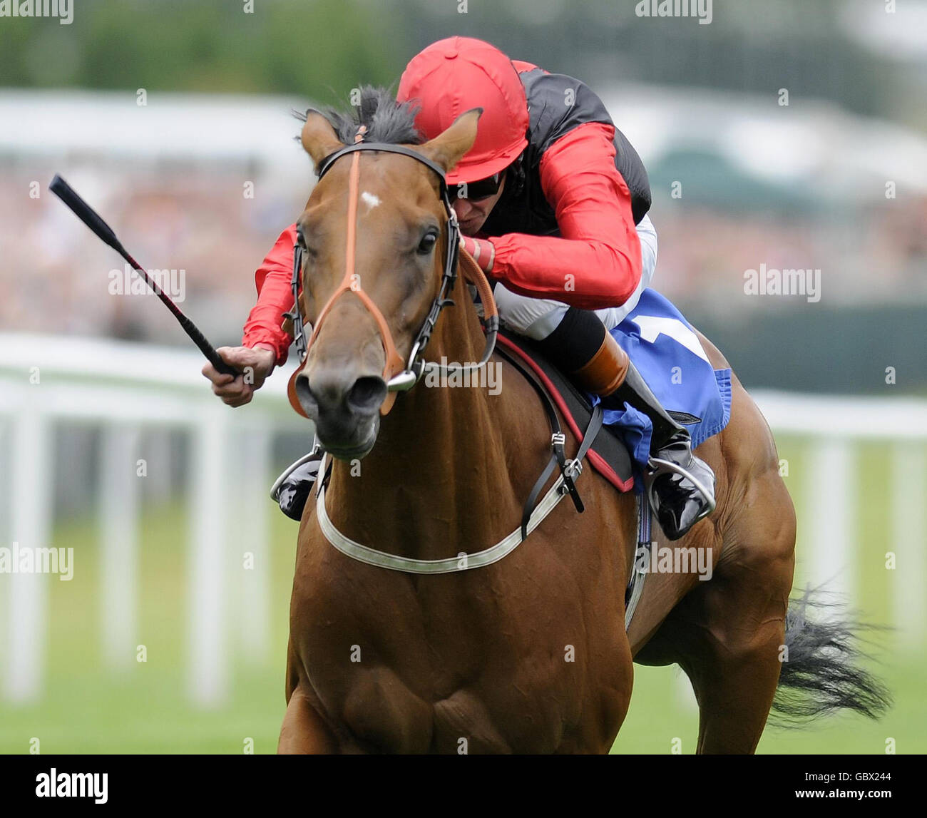 Weatherbys super sprint day newbury racecourse hi-res stock photography ...