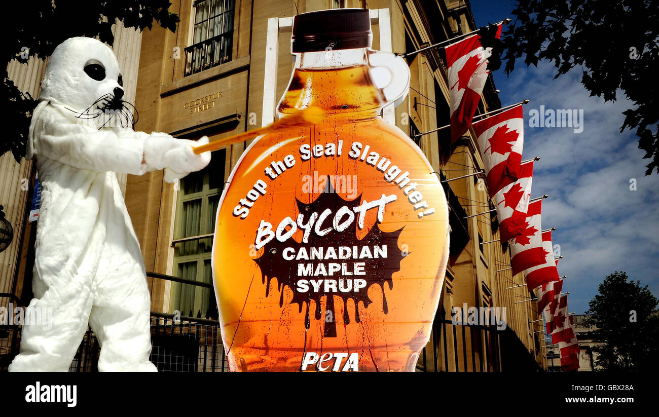 A man dressed as a seal uses a hakapik to hit a cardboard Maple syrup ...