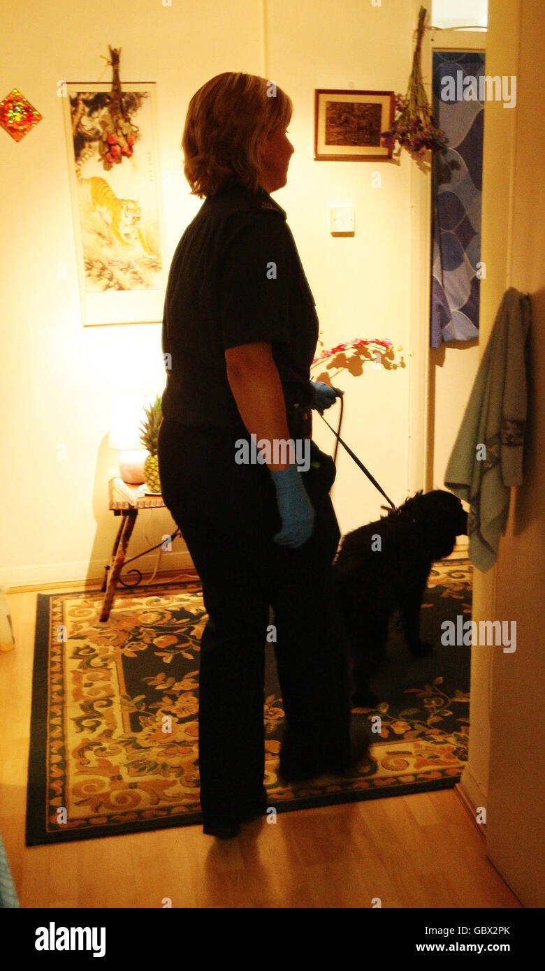 Brothel prostitutes prostitution hi-res stock photography and images ...