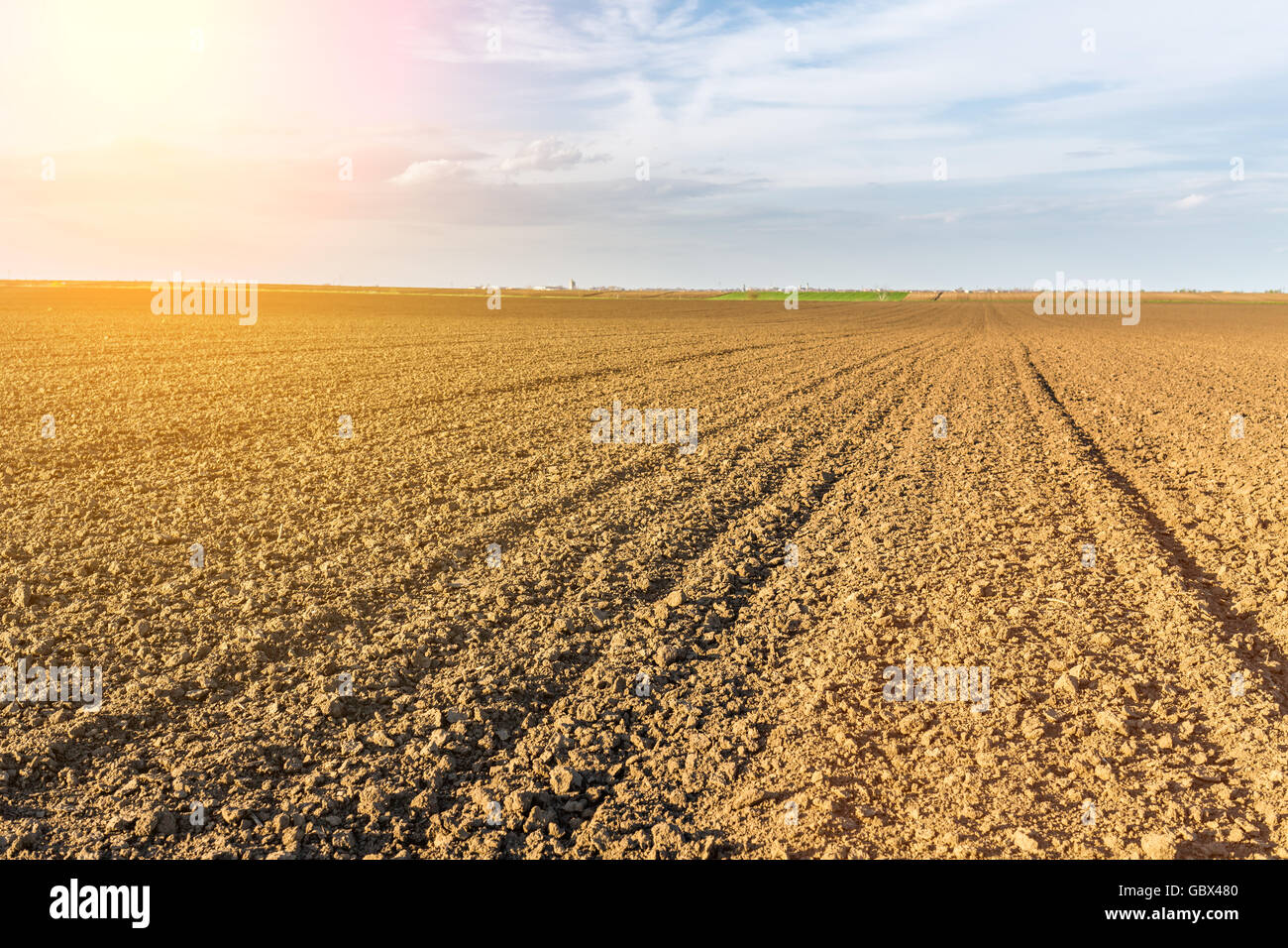 Fertile Land