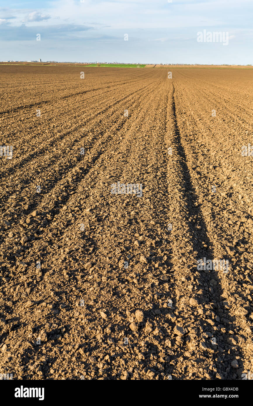 Agricultural landscape, arable crop field Stock Photo - Alamy