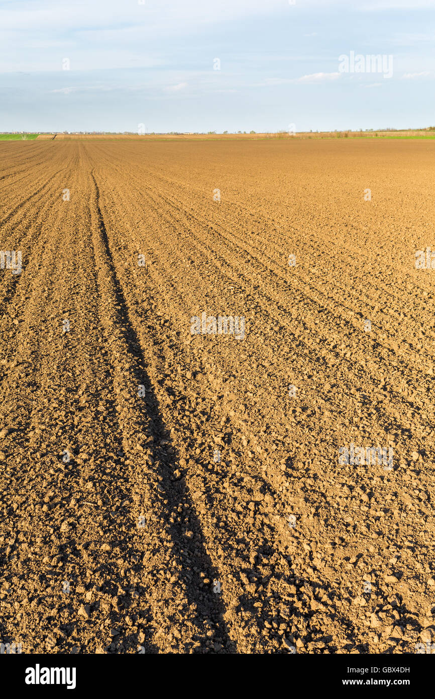 Arable crop field hi-res stock photography and images - Alamy