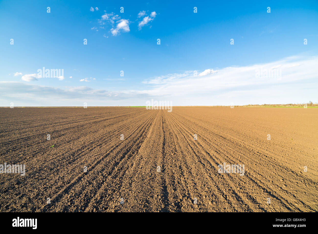 Arable crops hi-res stock photography and images - Alamy