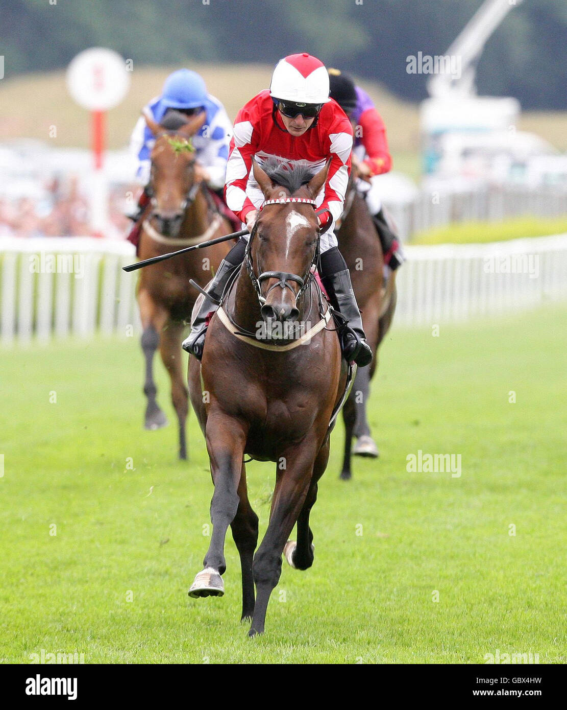 Doncaster Rover ridden by Steve Drowne wins The bet365 Conditions ...