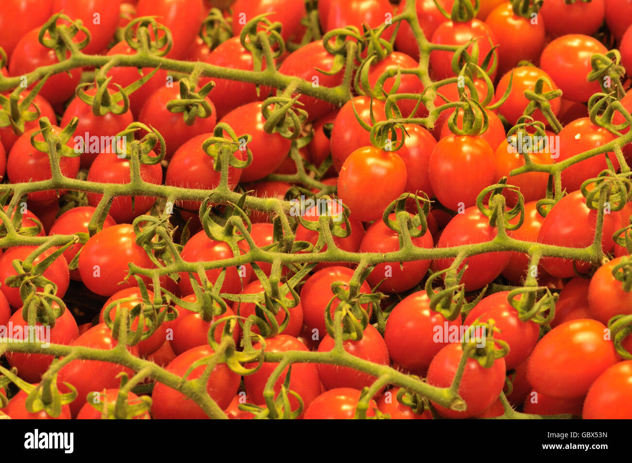 Tomatoes for sale, La Boqueria market, Barcelona, Catalonia, Spain ...