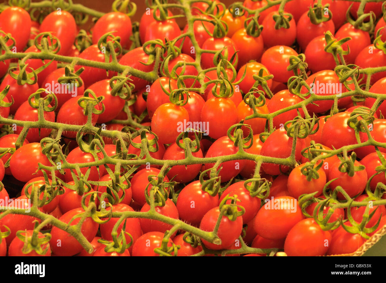 Tomatoes for sale, La Boqueria market, Barcelona, Catalonia, Spain ...