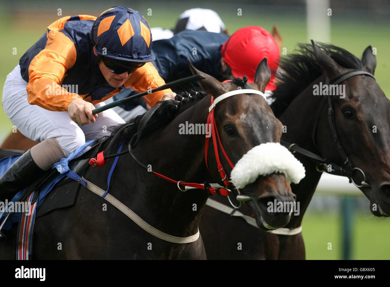 Horse Racing - totepool Family Raceday - Ayr Racecourse Stock Photo - Alamy
