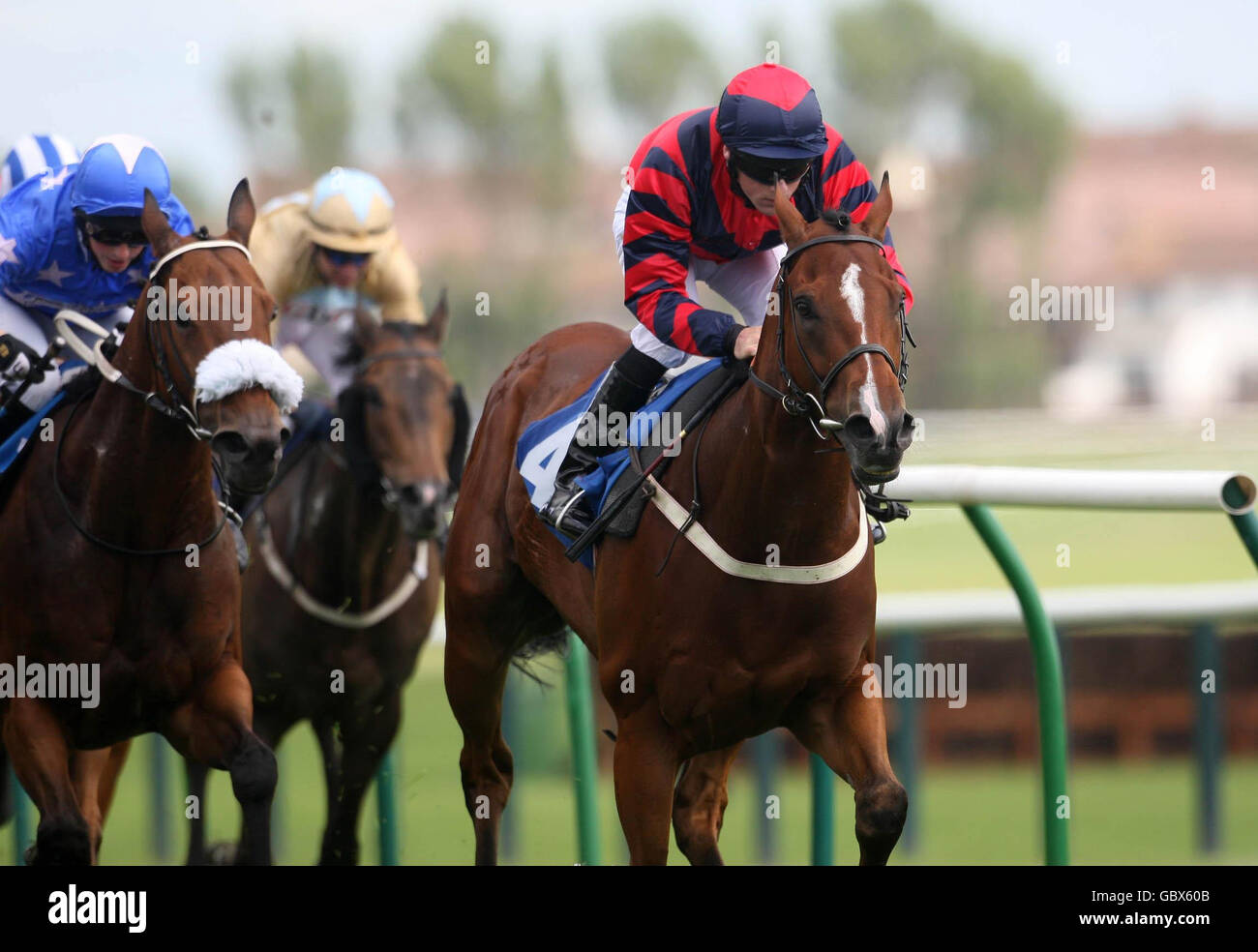 Horse Racing - totepool Family Raceday - Ayr Racecourse Stock Photo - Alamy
