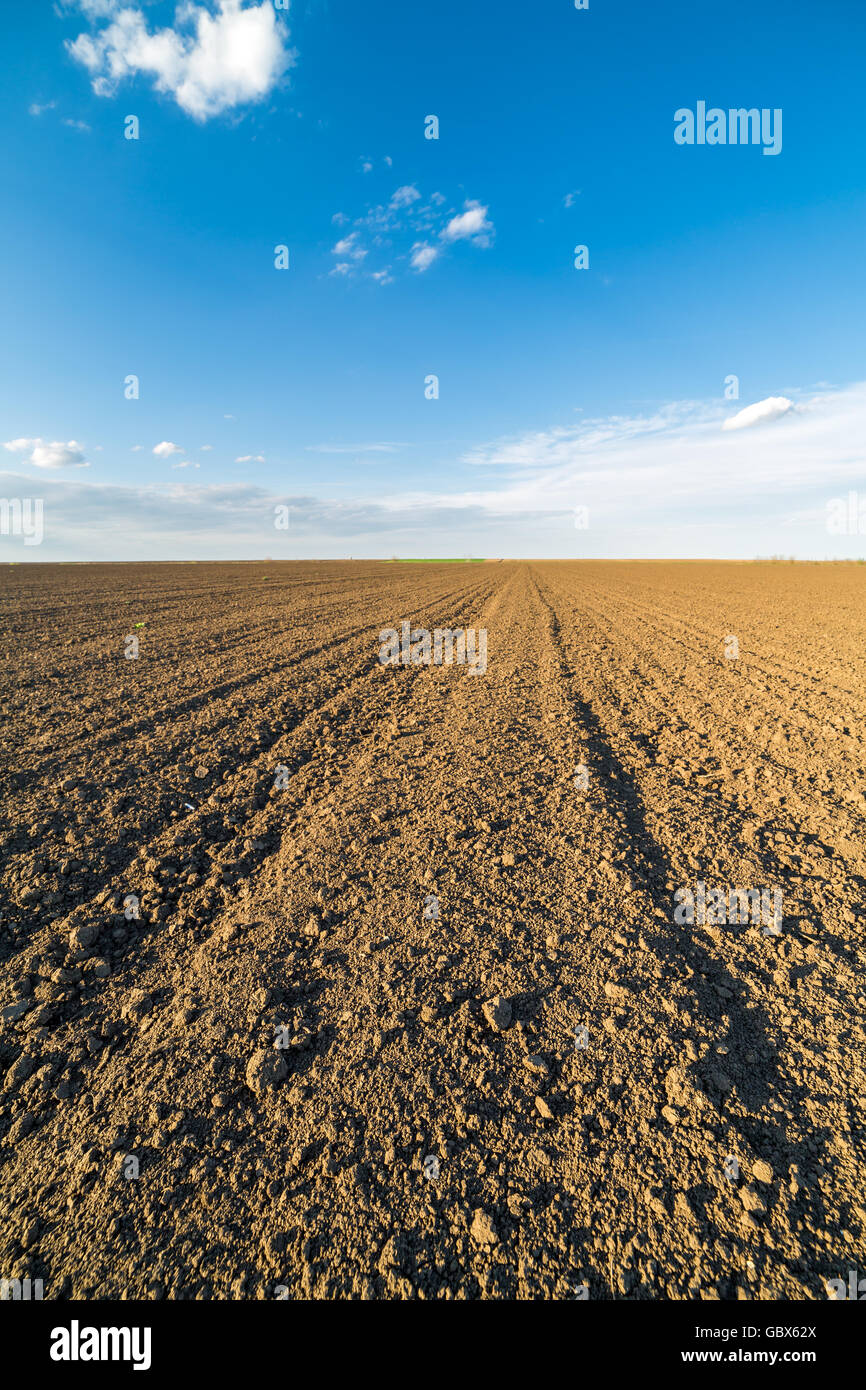 Agricultural landscape arable crop hi-res stock photography and images ...
