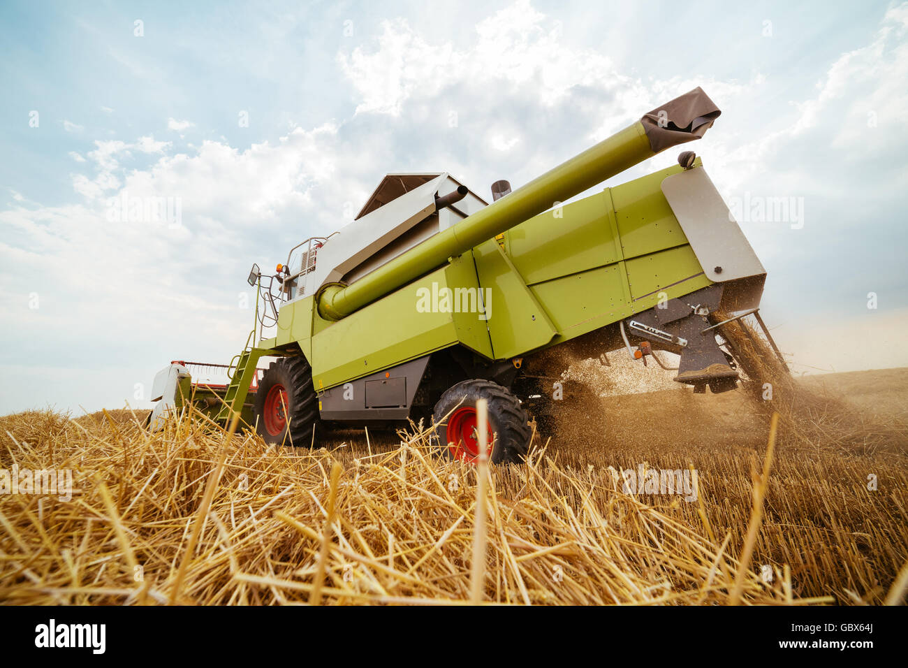 Combine harvester in action on wheat field Stock Photo - Alamy