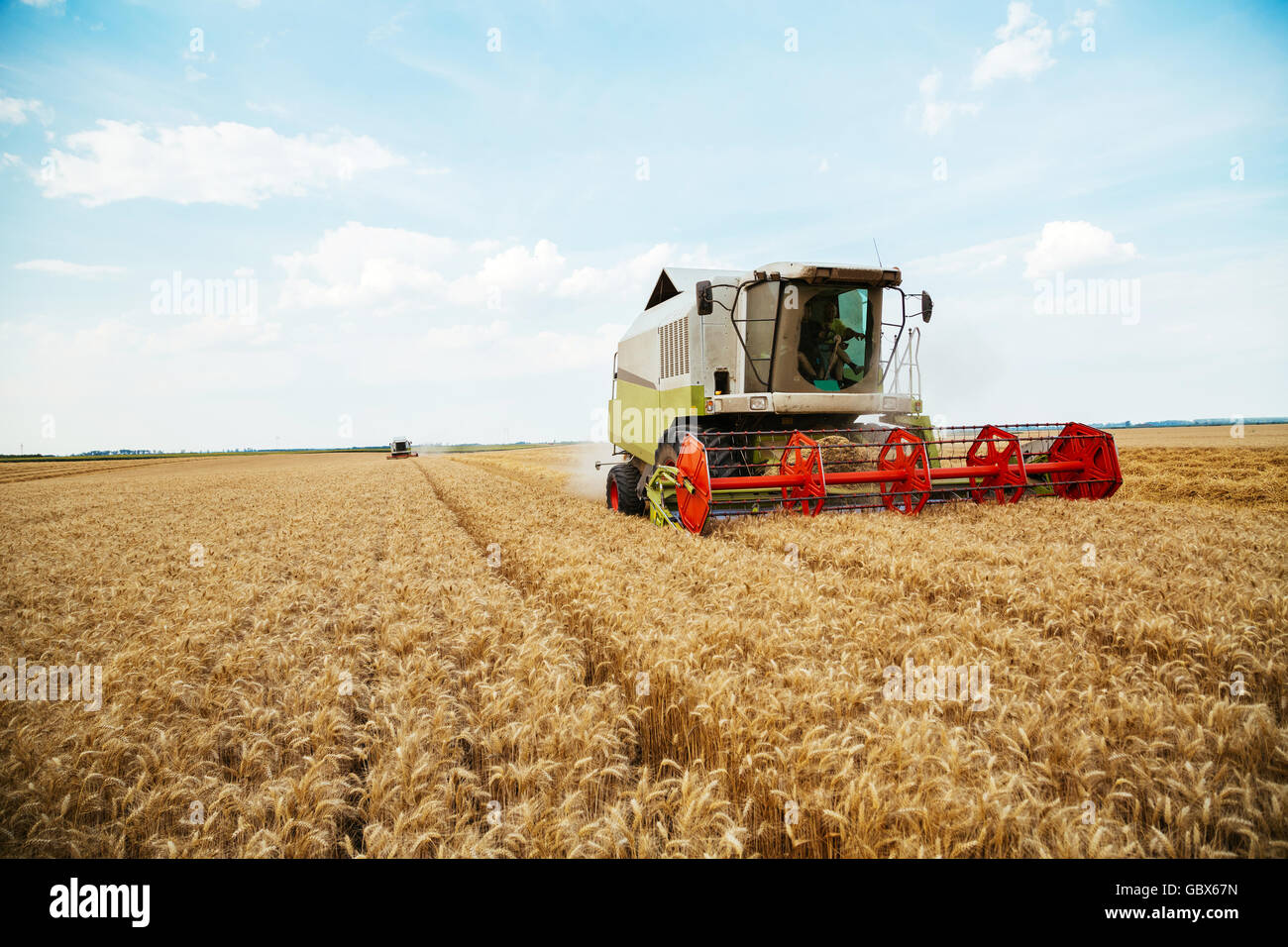 Combine harvester in action on wheat field Stock Photo - Alamy