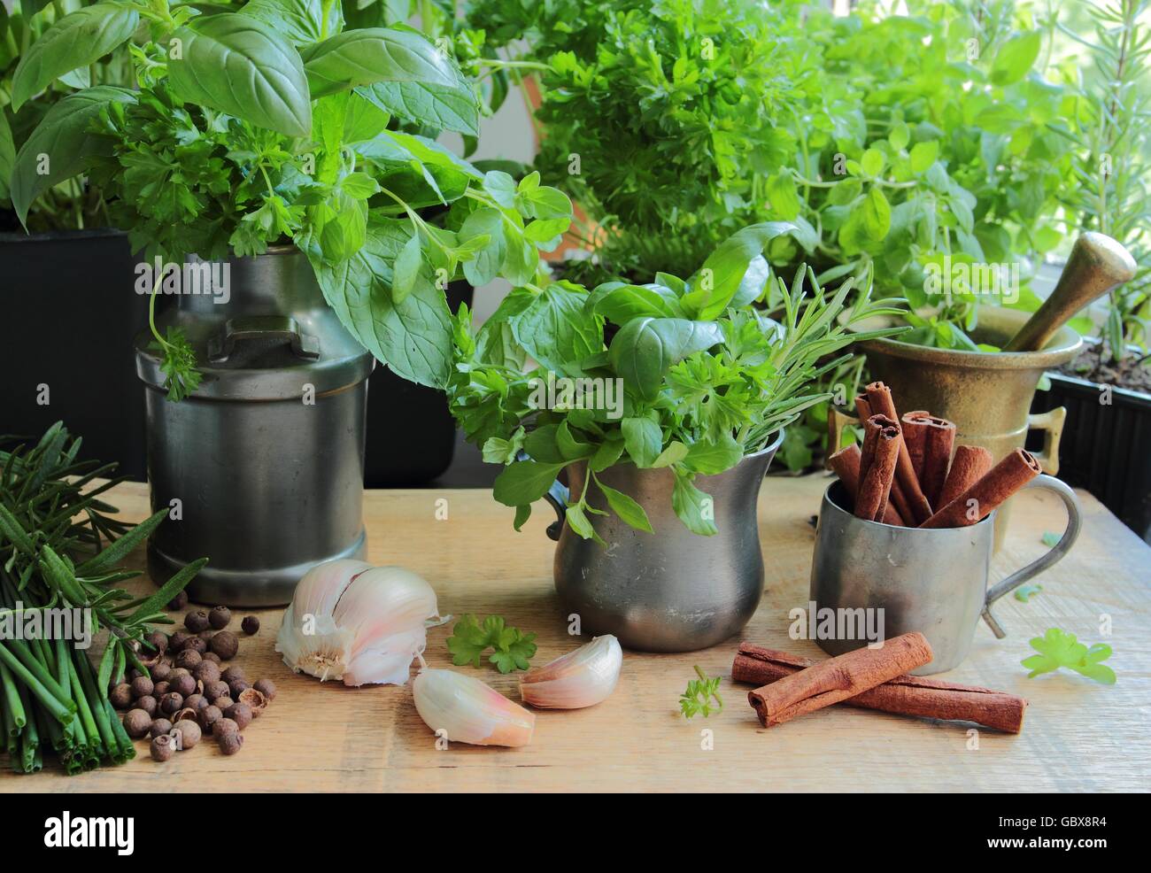 Aromatic herbs hi-res stock photography and images - Alamy