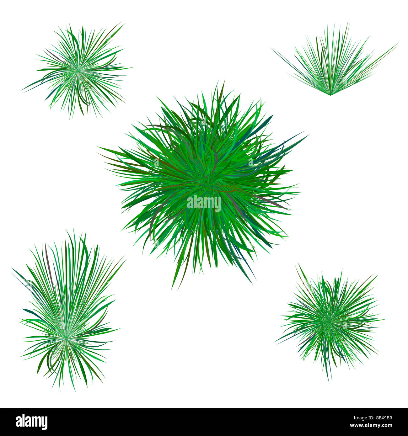 Grassy blade Cut Out Stock Images & Pictures - Alamy