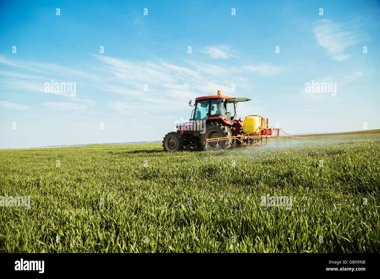 Farmer spraying green wheat field Stock Photo - Alamy