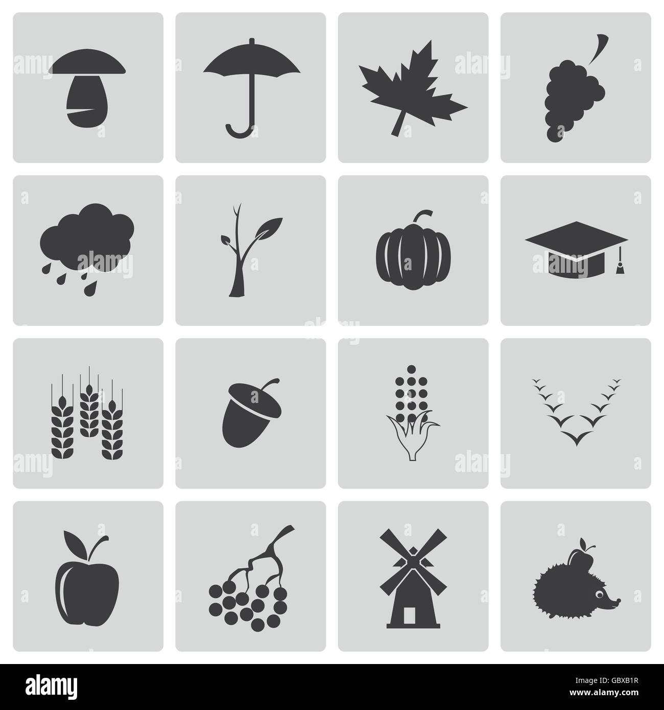 Vector black autumn icons set Stock Vector Image & Art - Alamy
