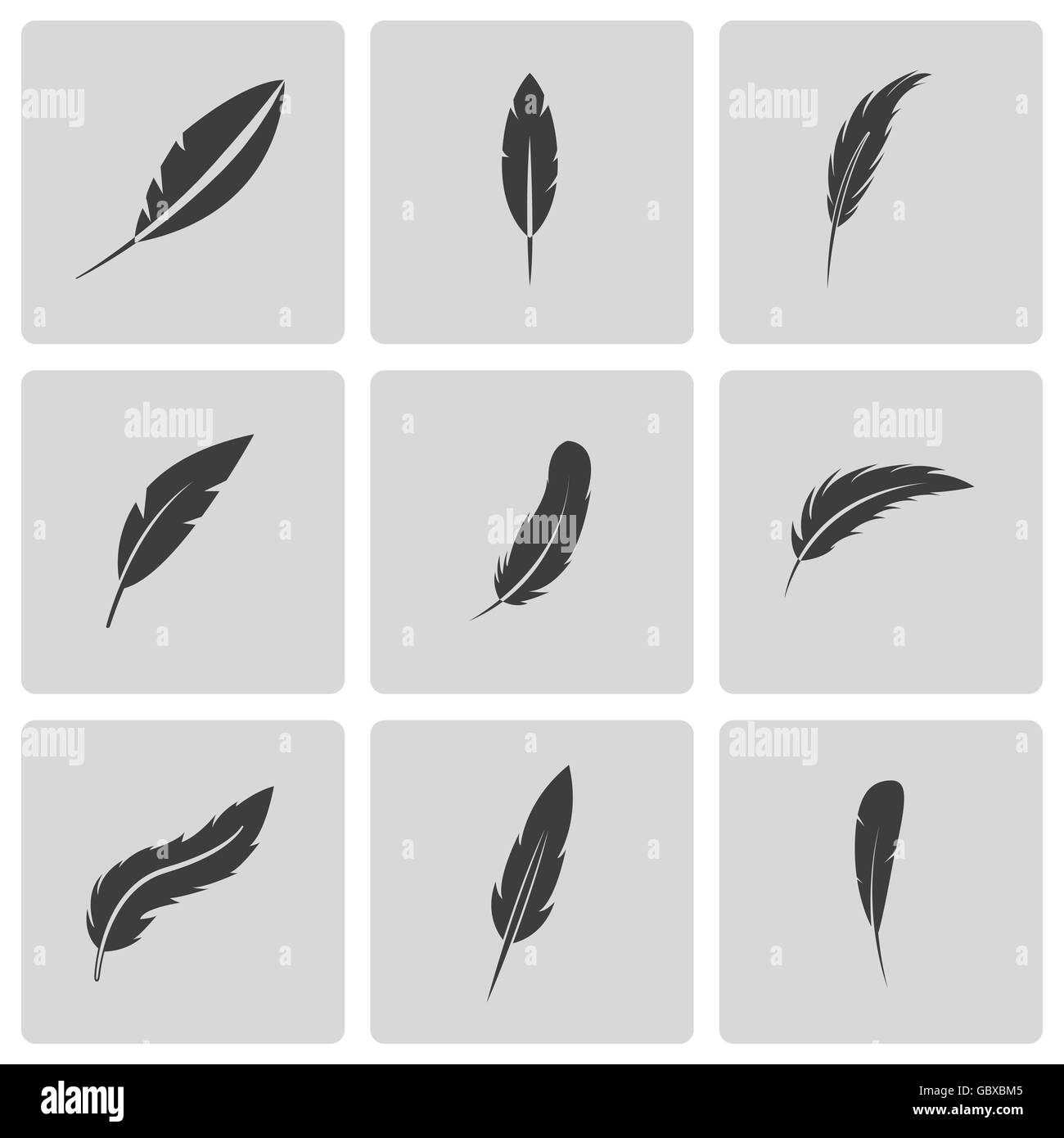 Vector black feather icons set Stock Vector Image & Art - Alamy