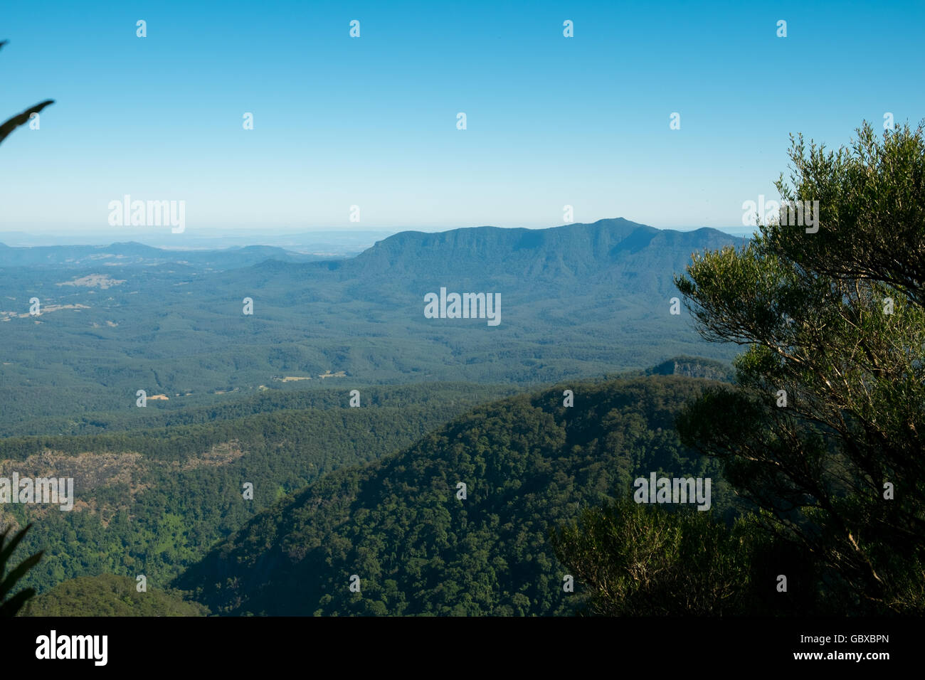 View from Mt Warning peak Stock Photo - Alamy