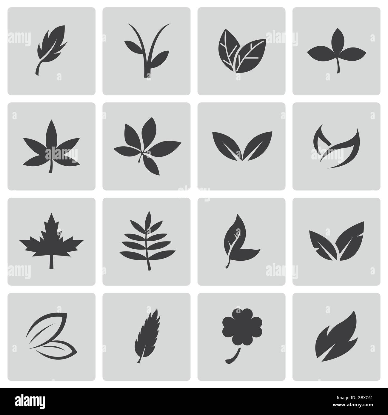 Vector black leaf icons set Stock Vector Image & Art - Alamy