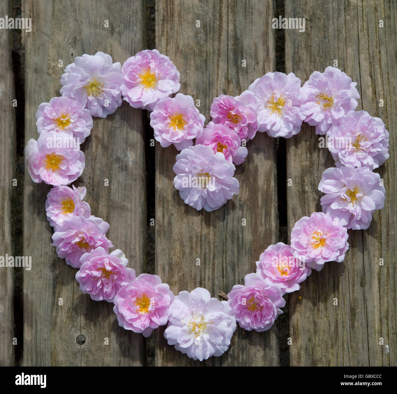 Roses in a heart shape Stock Photo - Alamy