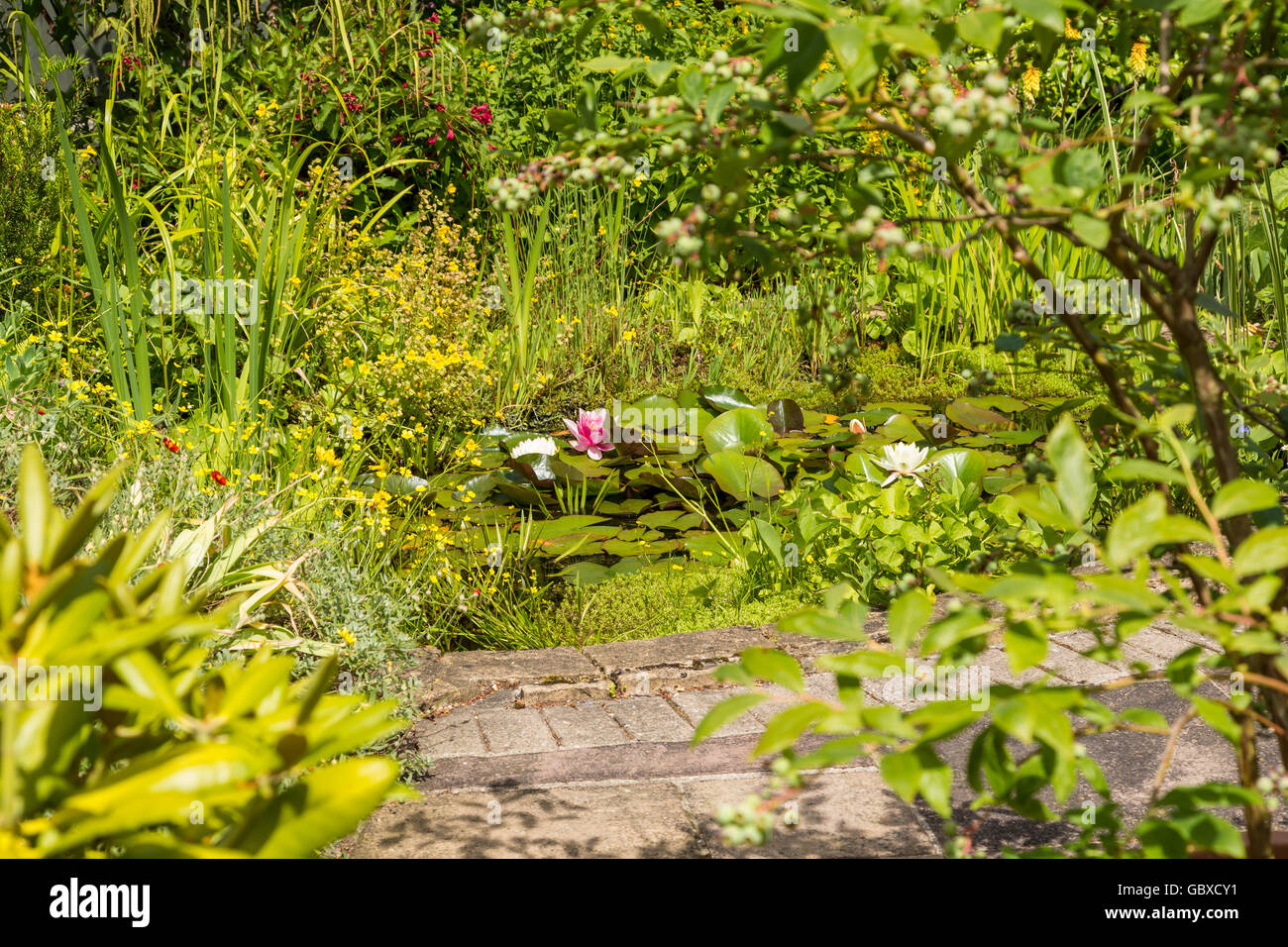 England backyard hi-res stock photography and images - Alamy