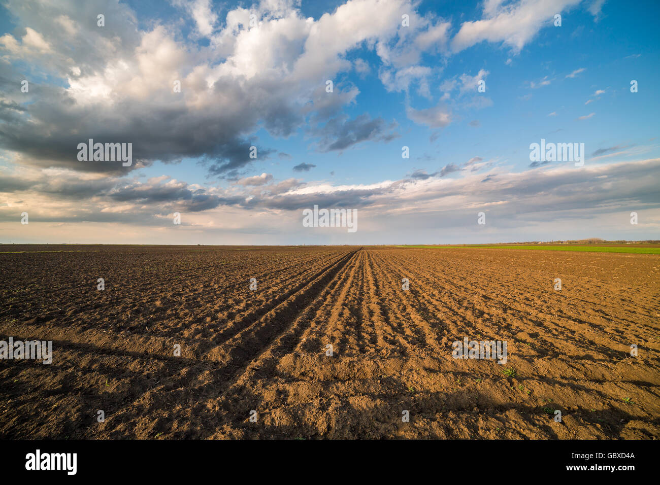 Agricultural landsape, arable crop field Stock Photo - Alamy