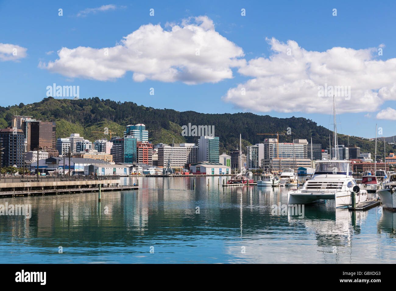 Wellington skyline across water, New Zealand Stock Photo - Alamy