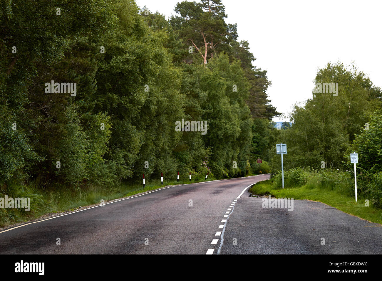 road in nature Stock Photo - Alamy