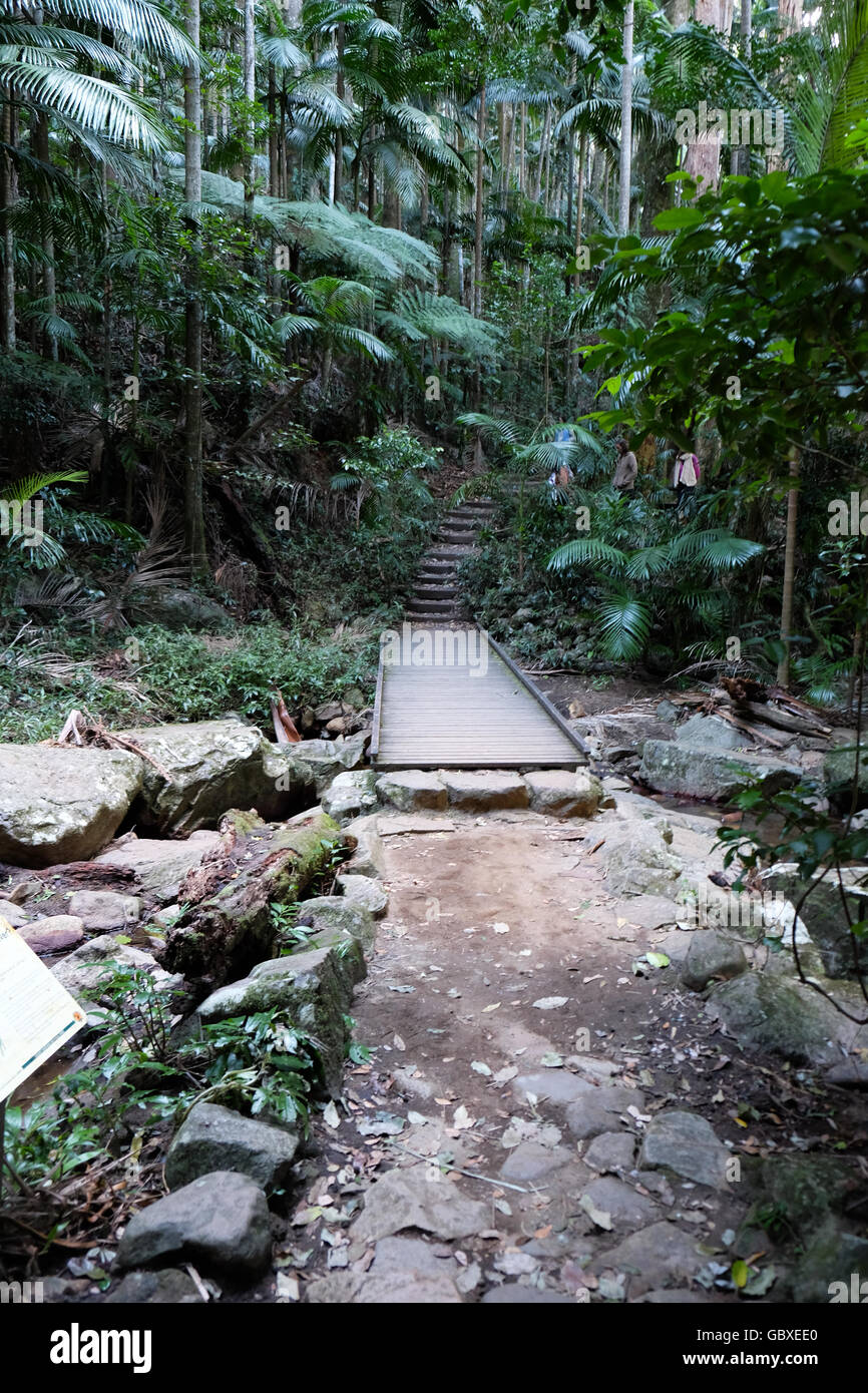 Mt Warning Trail, NSW, Australia Stock Photo - Alamy