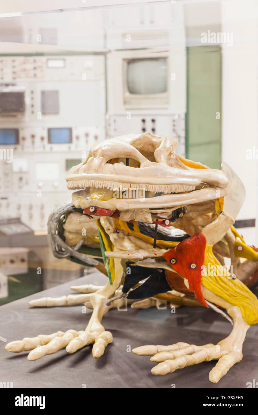 England, Cambridgeshire, Cambridge, Whipple Museum of the History of ...