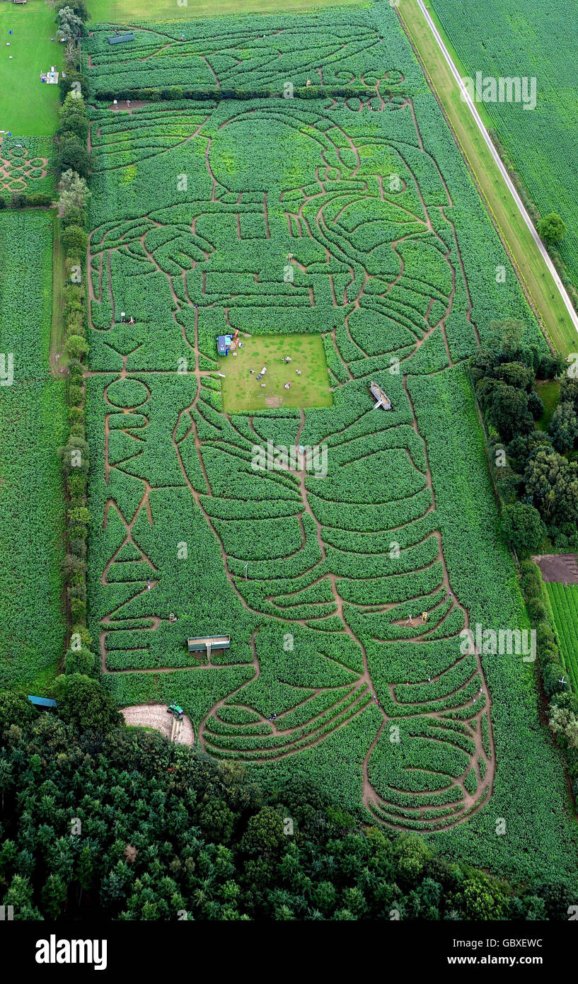 An aerial view showing the 2009 York maze, which is to mark the 40th ...