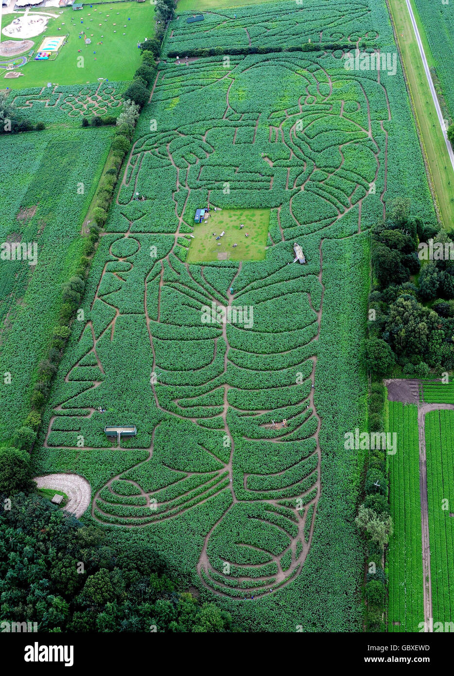 An aerial view showing the 2009 York maze, which is to mark the 40th ...