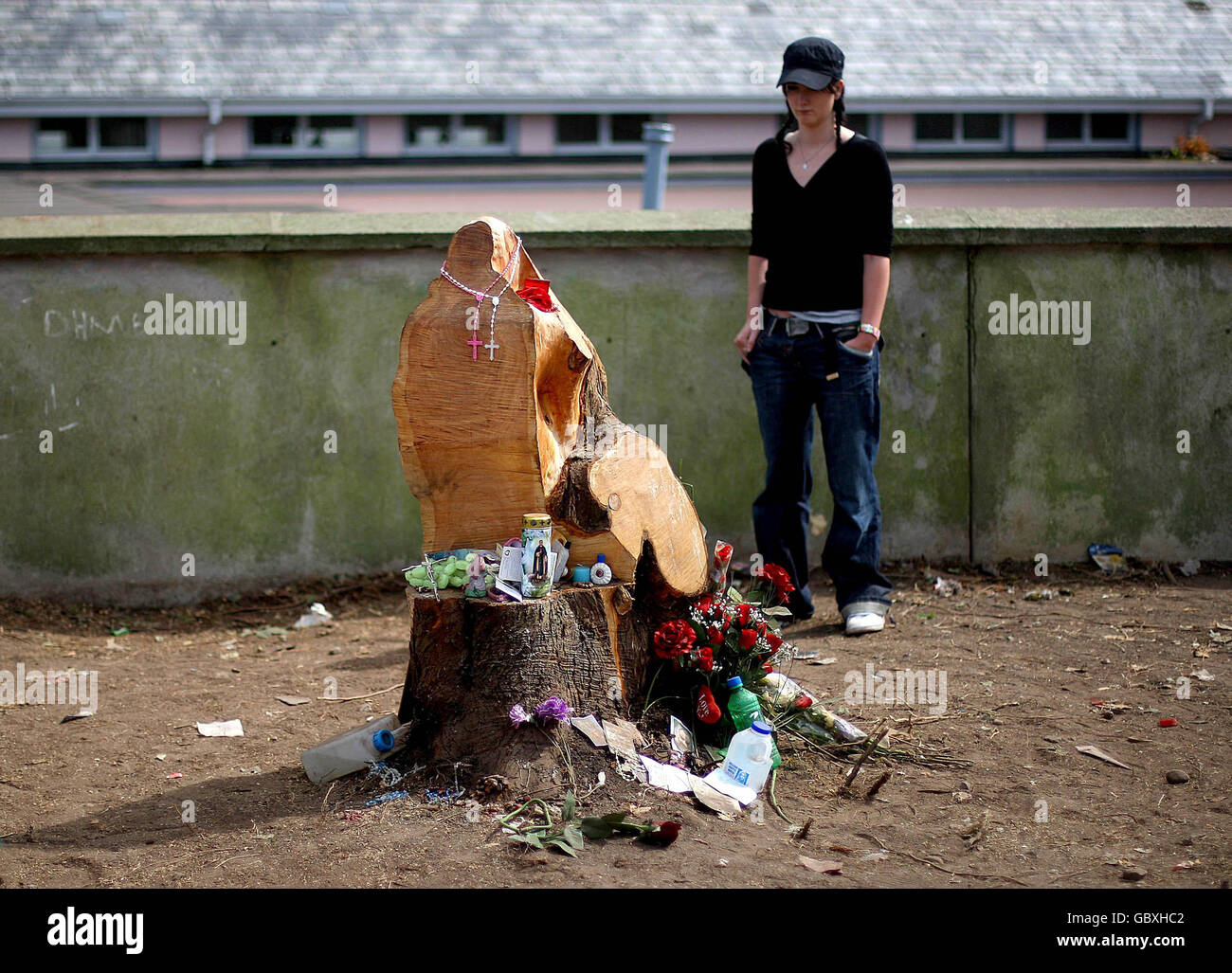 Virgin Mary seen in tree stump Stock Photo - Alamy