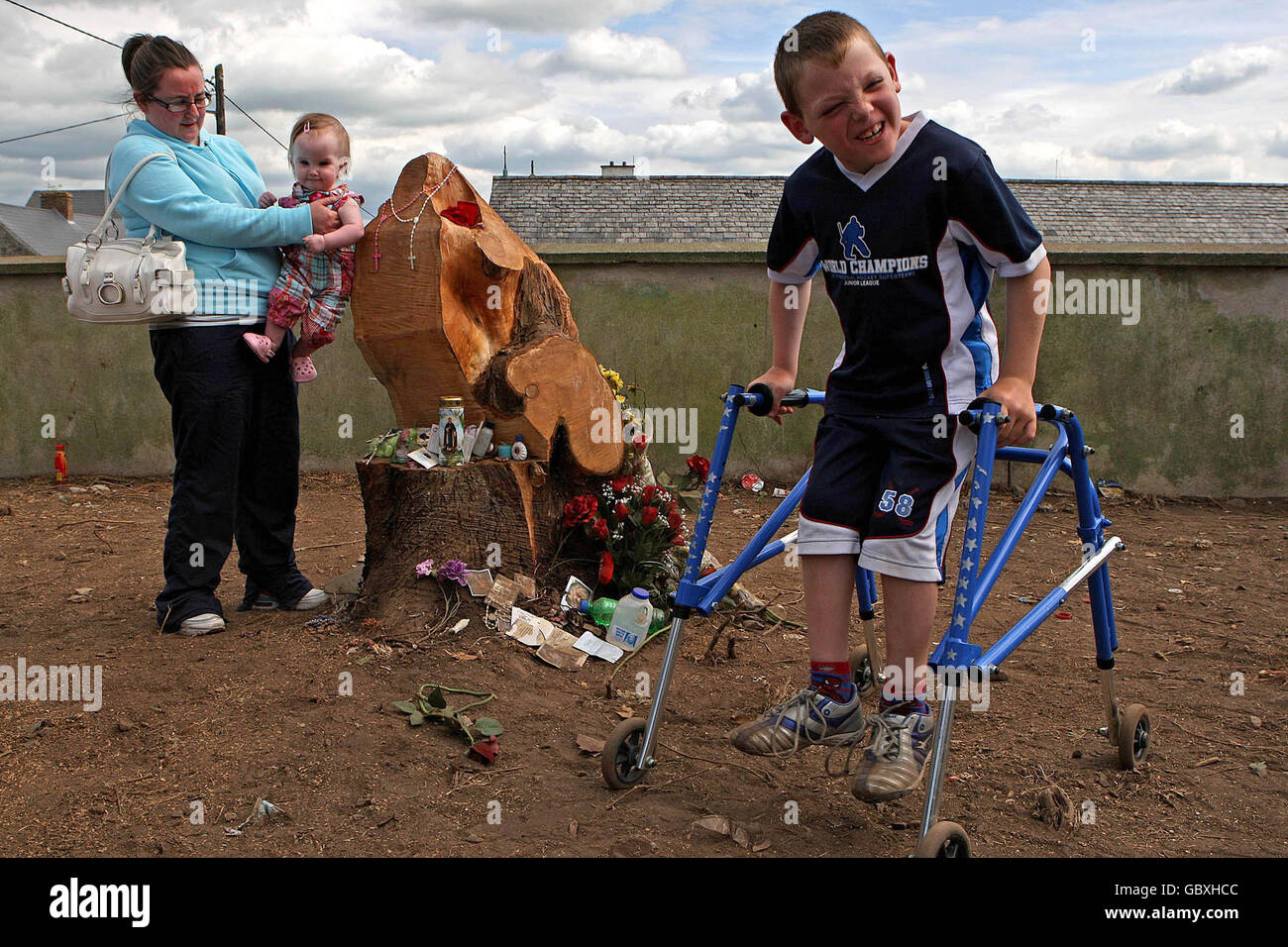 Virgin Mary seen in tree stump Stock Photo - Alamy