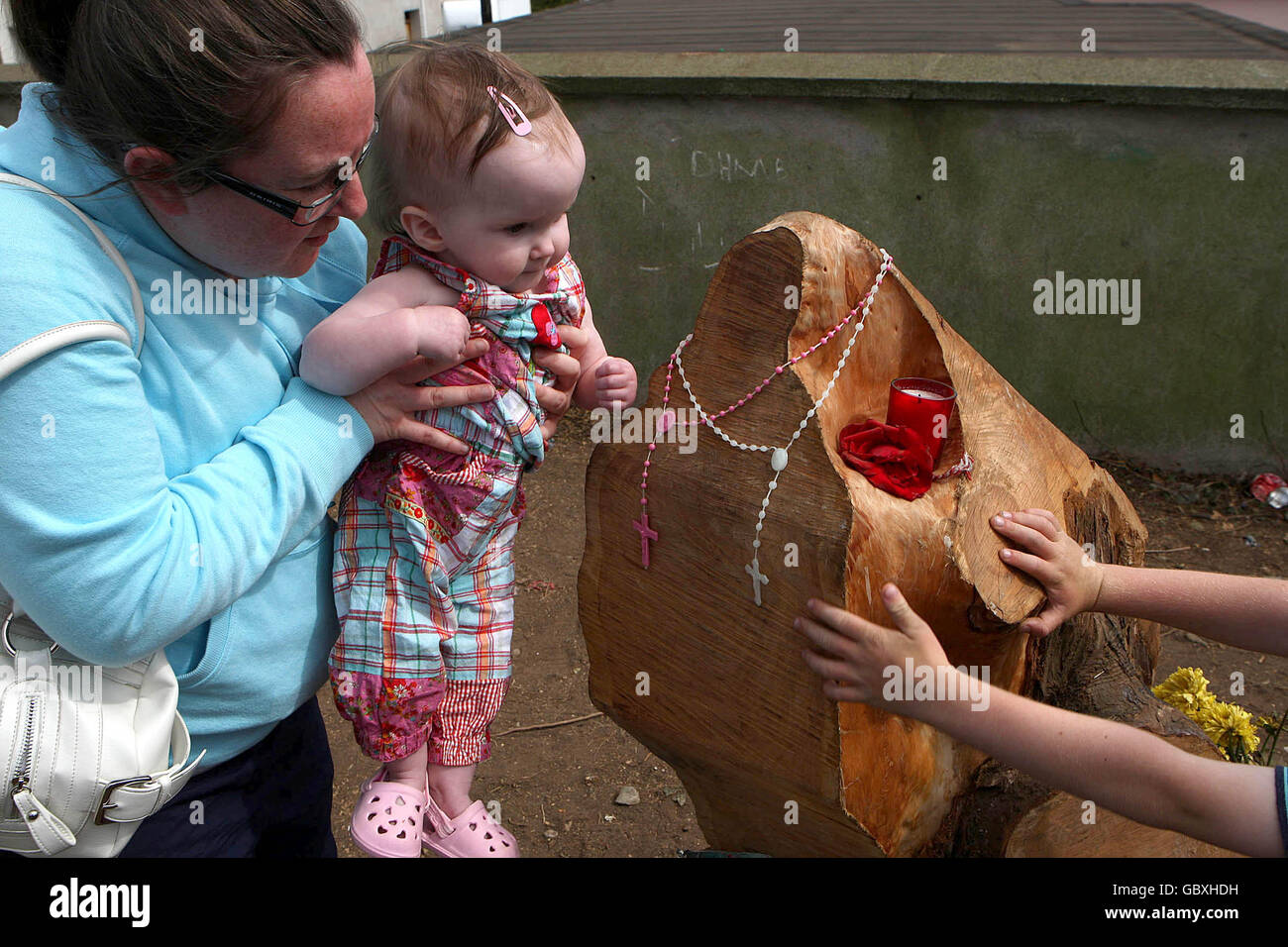Virgin Mary seen in tree stump Stock Photo - Alamy