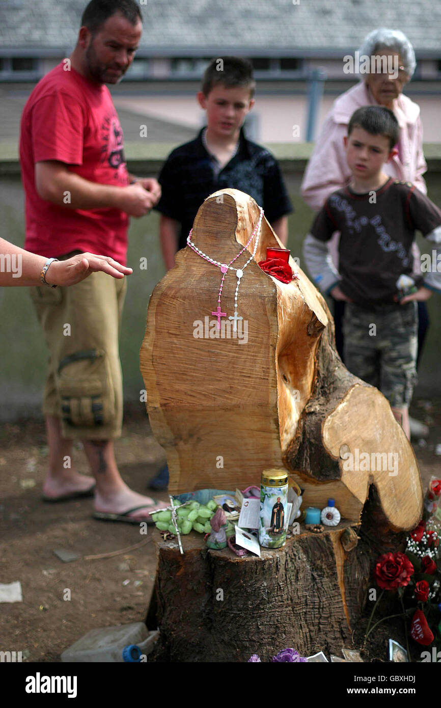 Members of the public look at a tree stump in Rathkeale, Co. Limerick ...