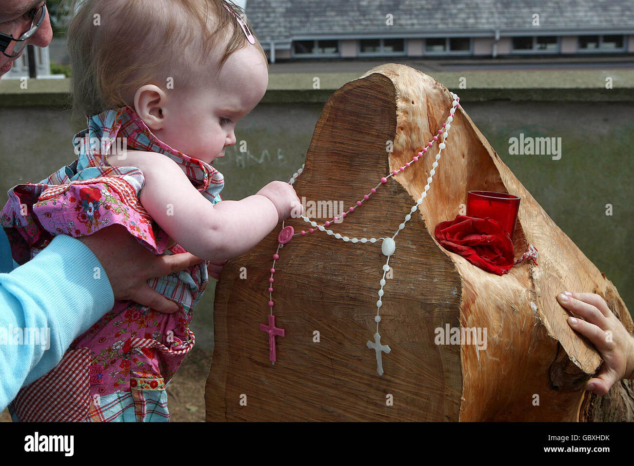 Virgin Mary seen in tree stump Stock Photo - Alamy