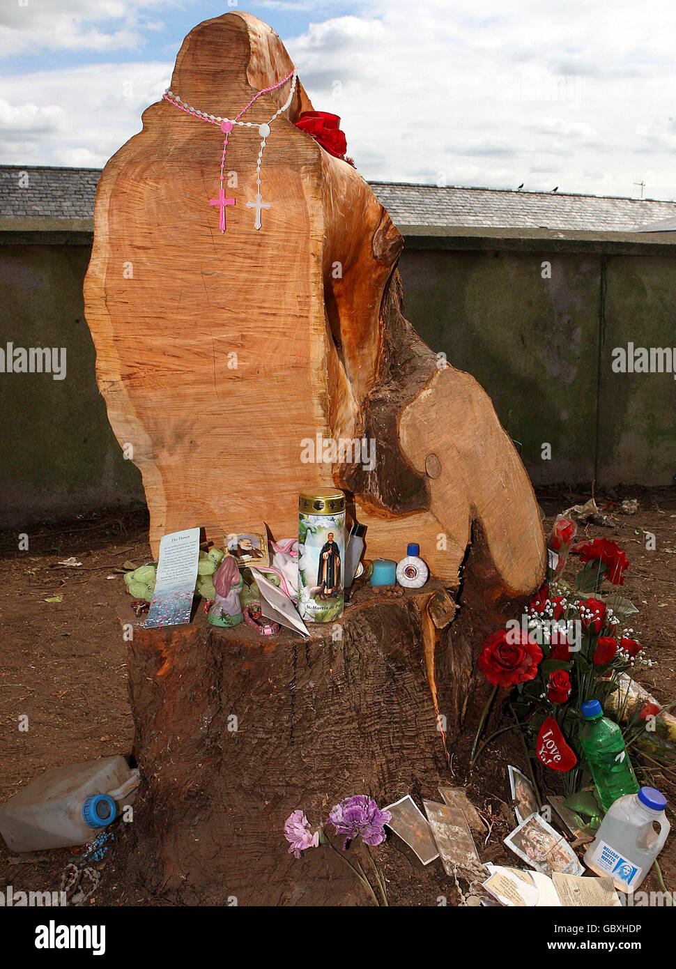 Virgin Mary seen in tree stump Stock Photo - Alamy