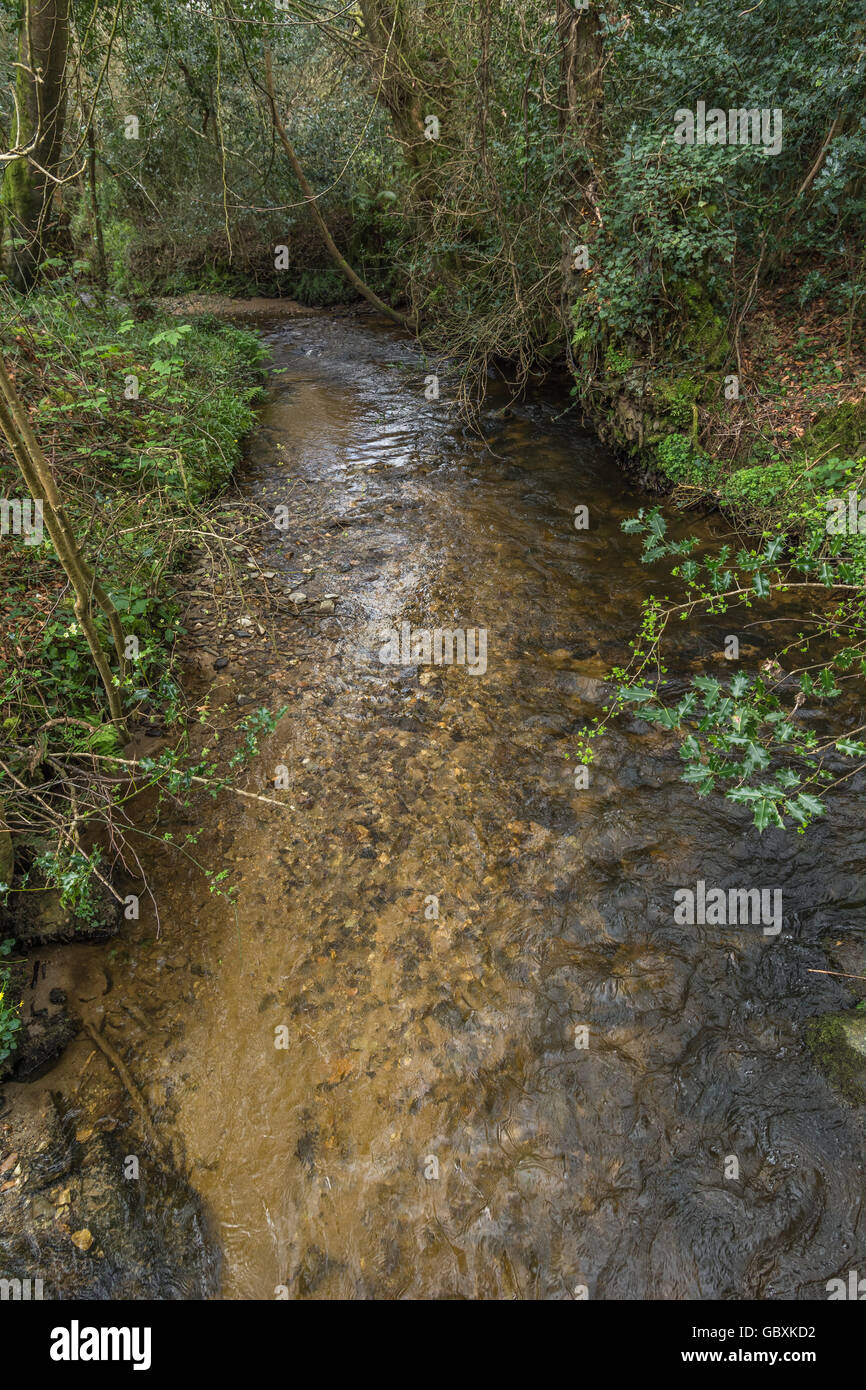 Freshwater resources hi-res stock photography and images - Alamy