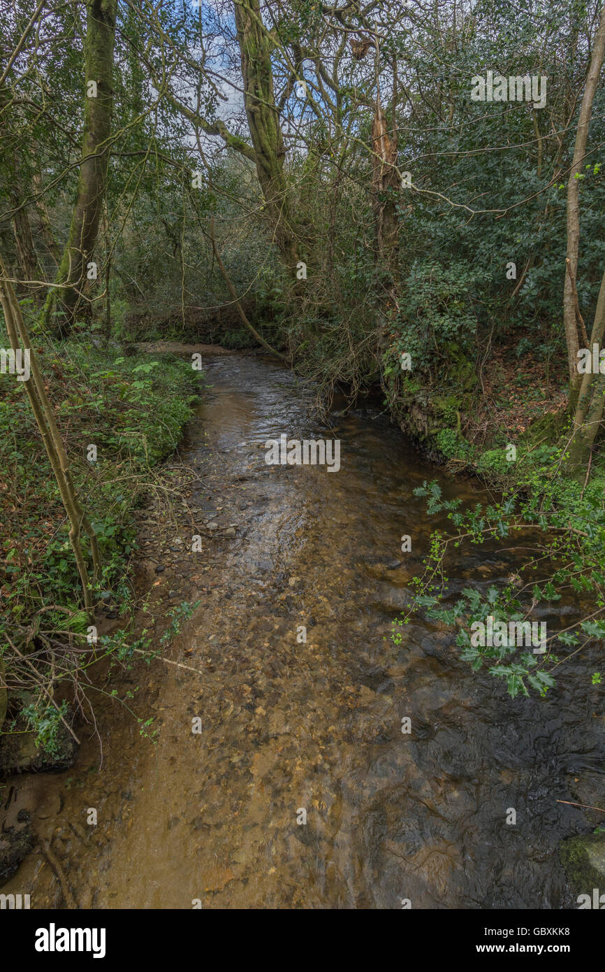 Clear running stream in Lostwithiel, mid-Cornwall. Freshwater stream ...