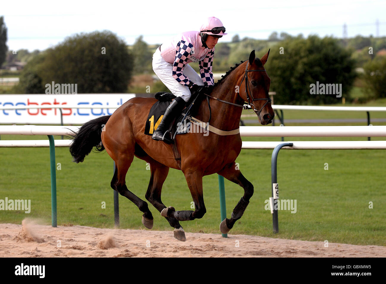 Oscar goes to hi-res stock photography and images - Alamy