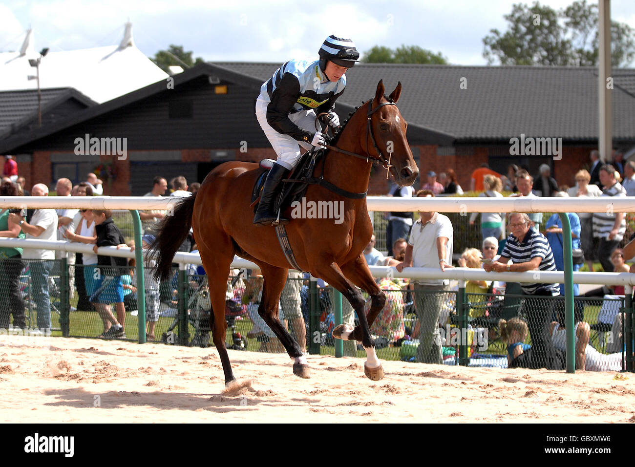 Racing snake hi-res stock photography and images - Alamy